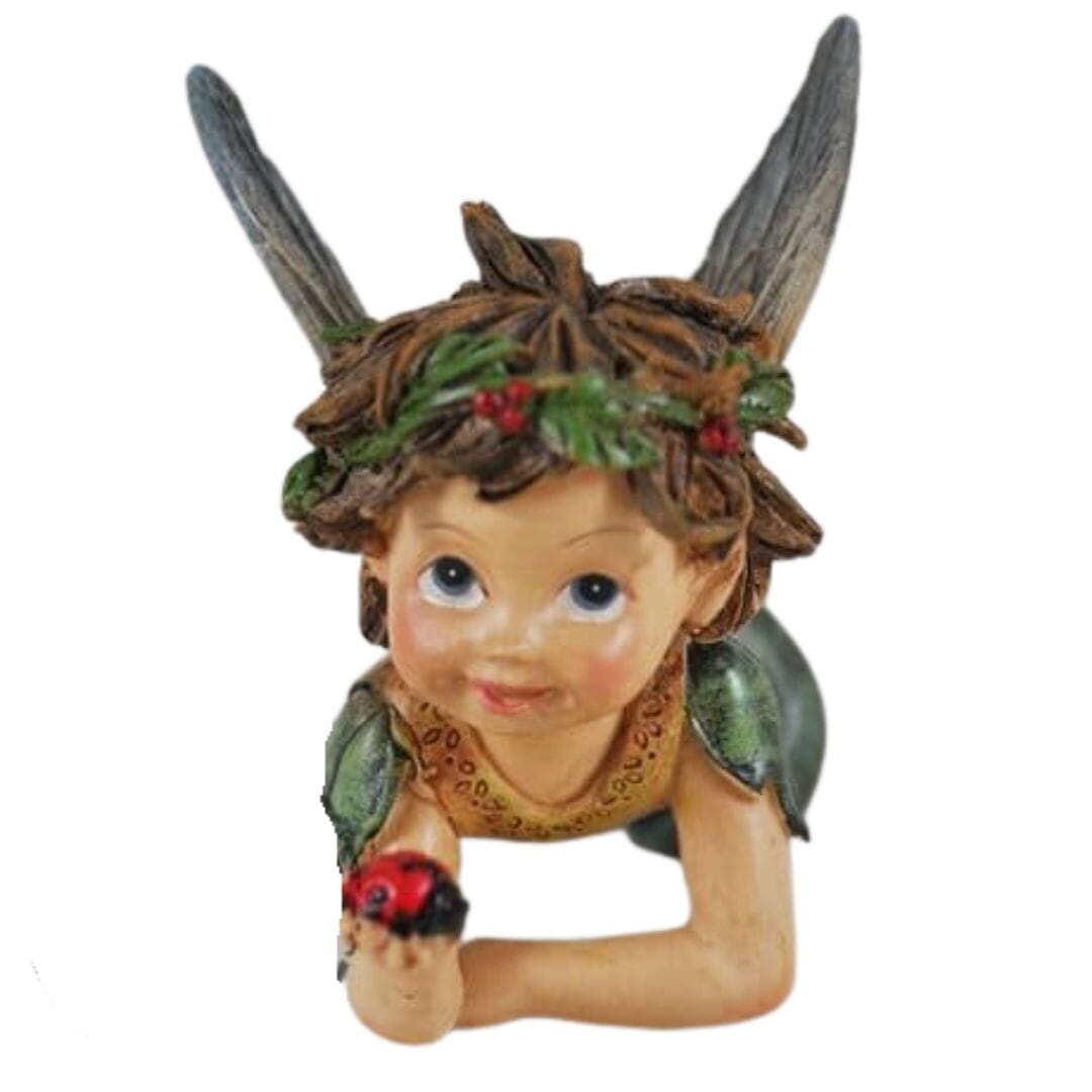 New Arrivals | Fairy Gardens & Gifts - Australia | Earth Fairy