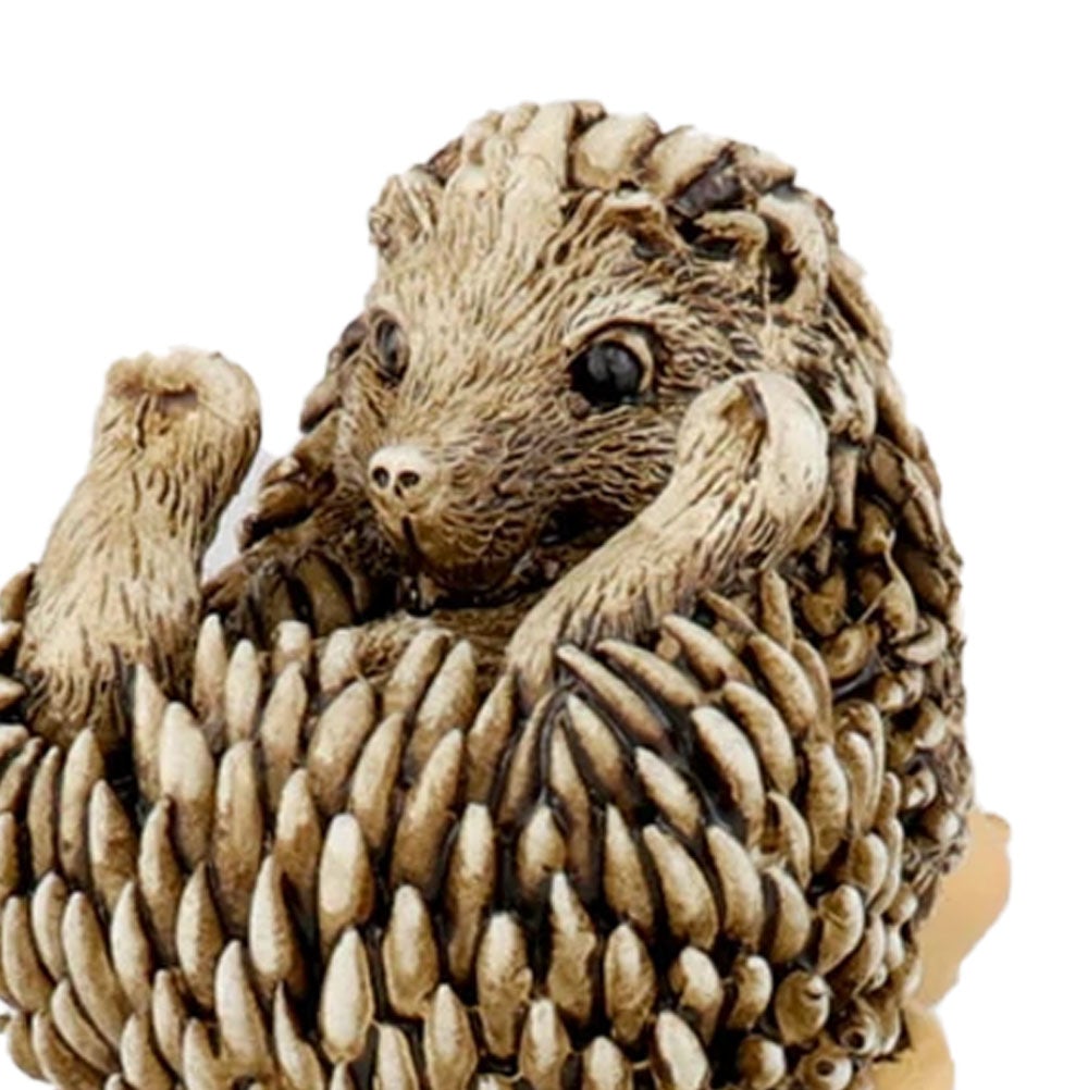 The Pixie Family | Fairy Garden Pixies - Australia | Earth Fairy